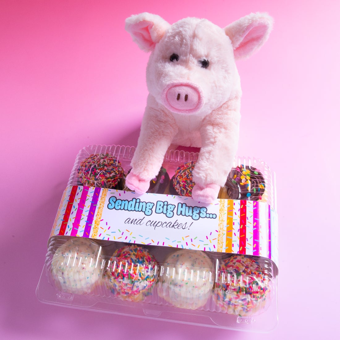 Sending Hugs & Cupcakes Piggy Gift Pack | The Sugar Bakery